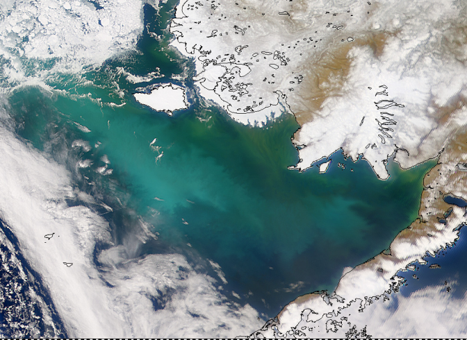 BERING SEA -THE GATEWAY TO THE ARCTIC | FROM SEA TO CHANGING SEA